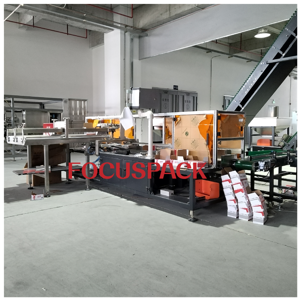 Multi-Function Carton Box Erector - Foucs