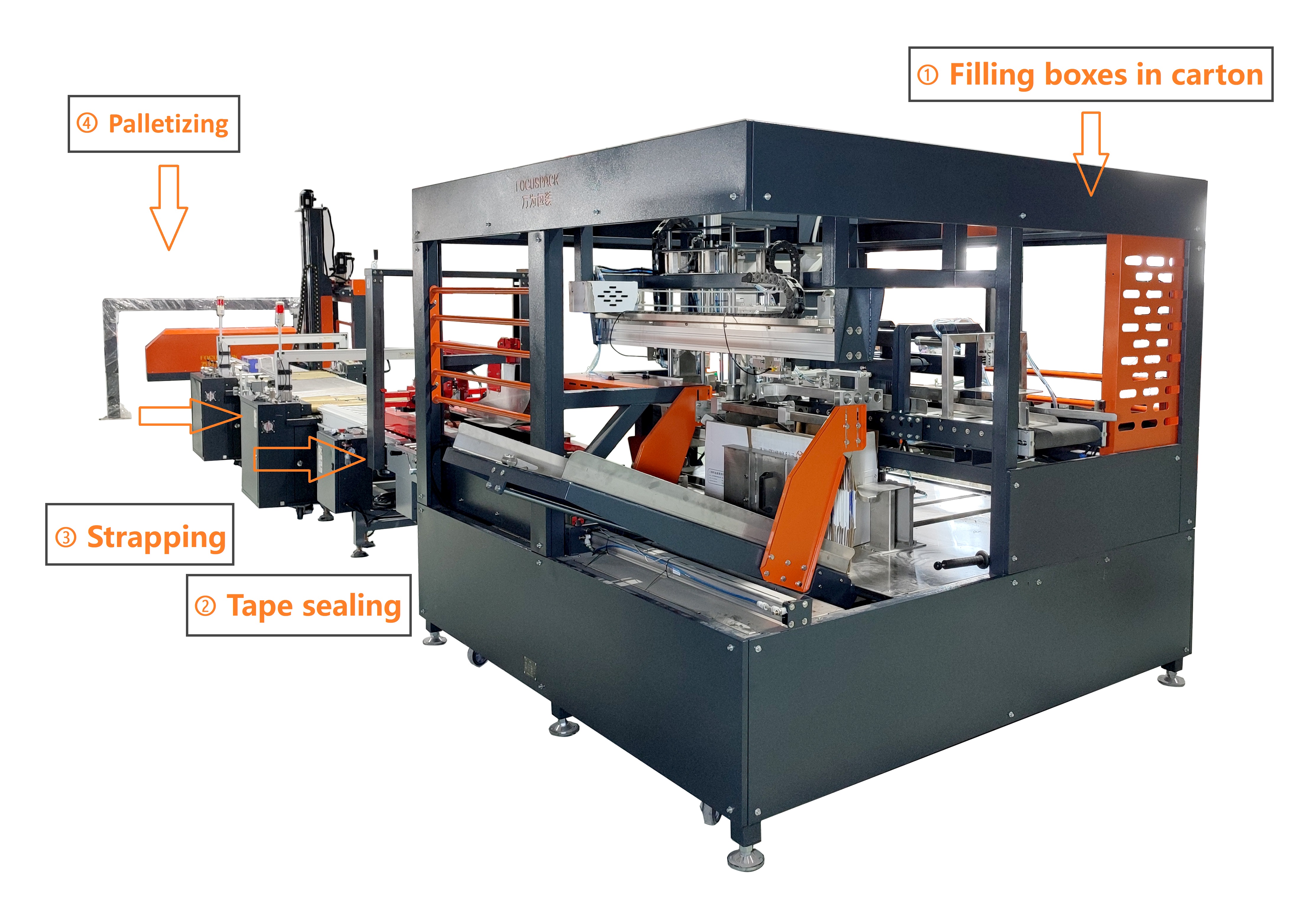 Revolutionizing Efficiency: The Automatic Carton Packing Line